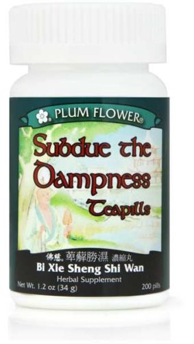 Dampness in Chinese Medicine | Best Chinese Medicines