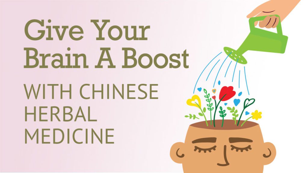 Give Your Brain a Boost with these Chinese Herbal Medicines