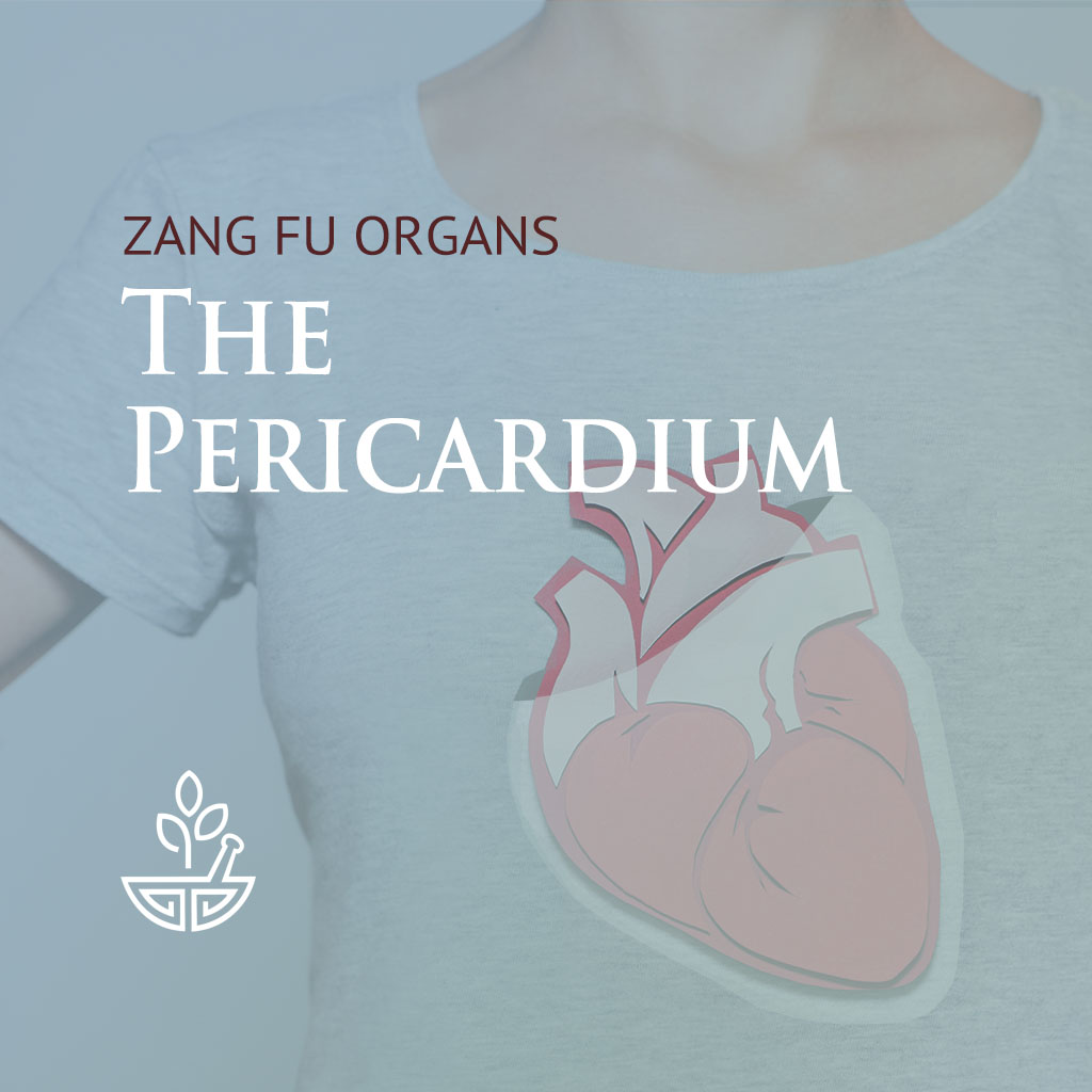 Zang Fu Organs - Pericardium | Best Chinese Medicines