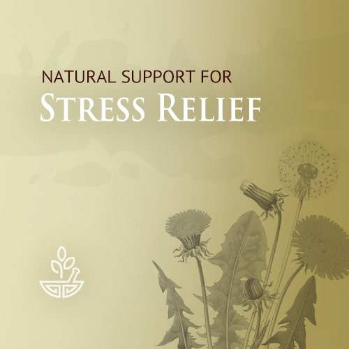 Natural Remedies for Stress Relief | Best Chinese Medicines